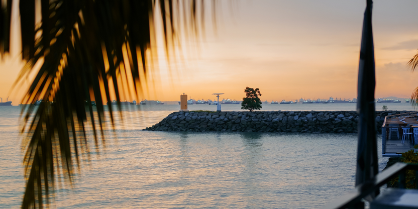 ConstantWind Watersports - Expert Courses & Premium Gear Online – Constant Wind